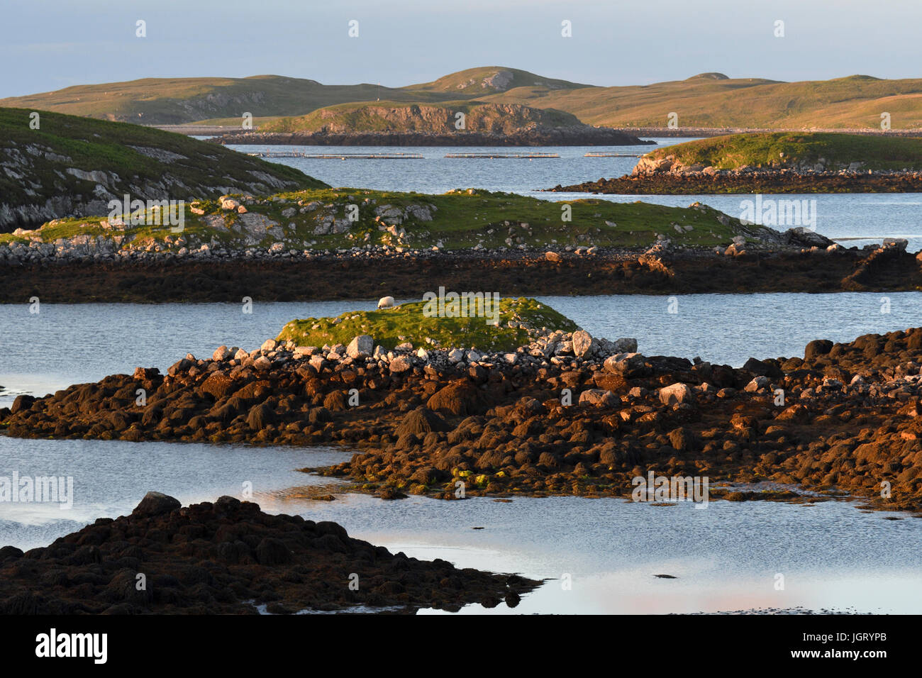 Bagh a chaise hi-res stock photography and images - Alamy