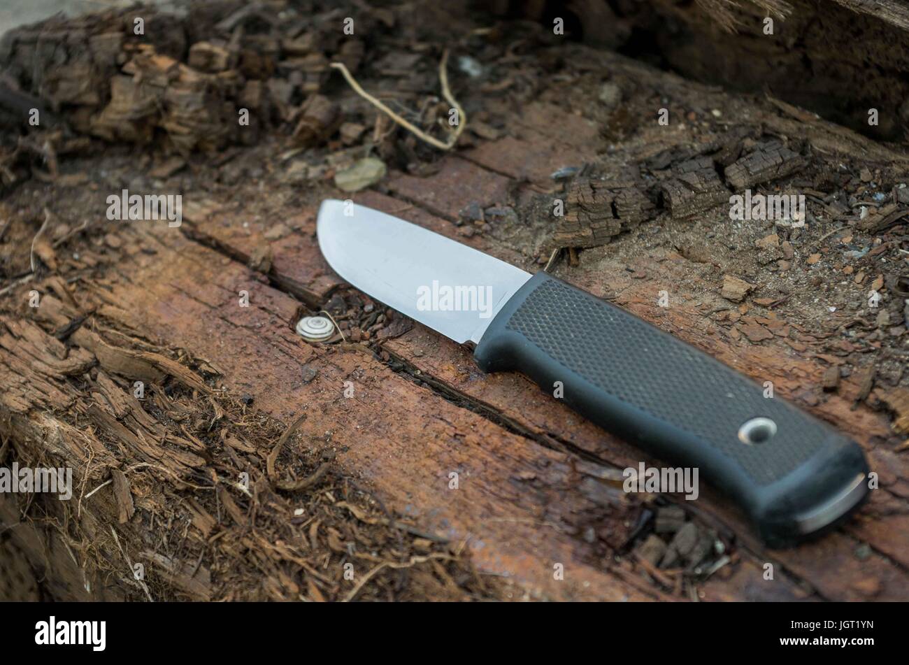 Outdoor knife on wood log. Brown wood. Sweden knife Stock Photo - Alamy