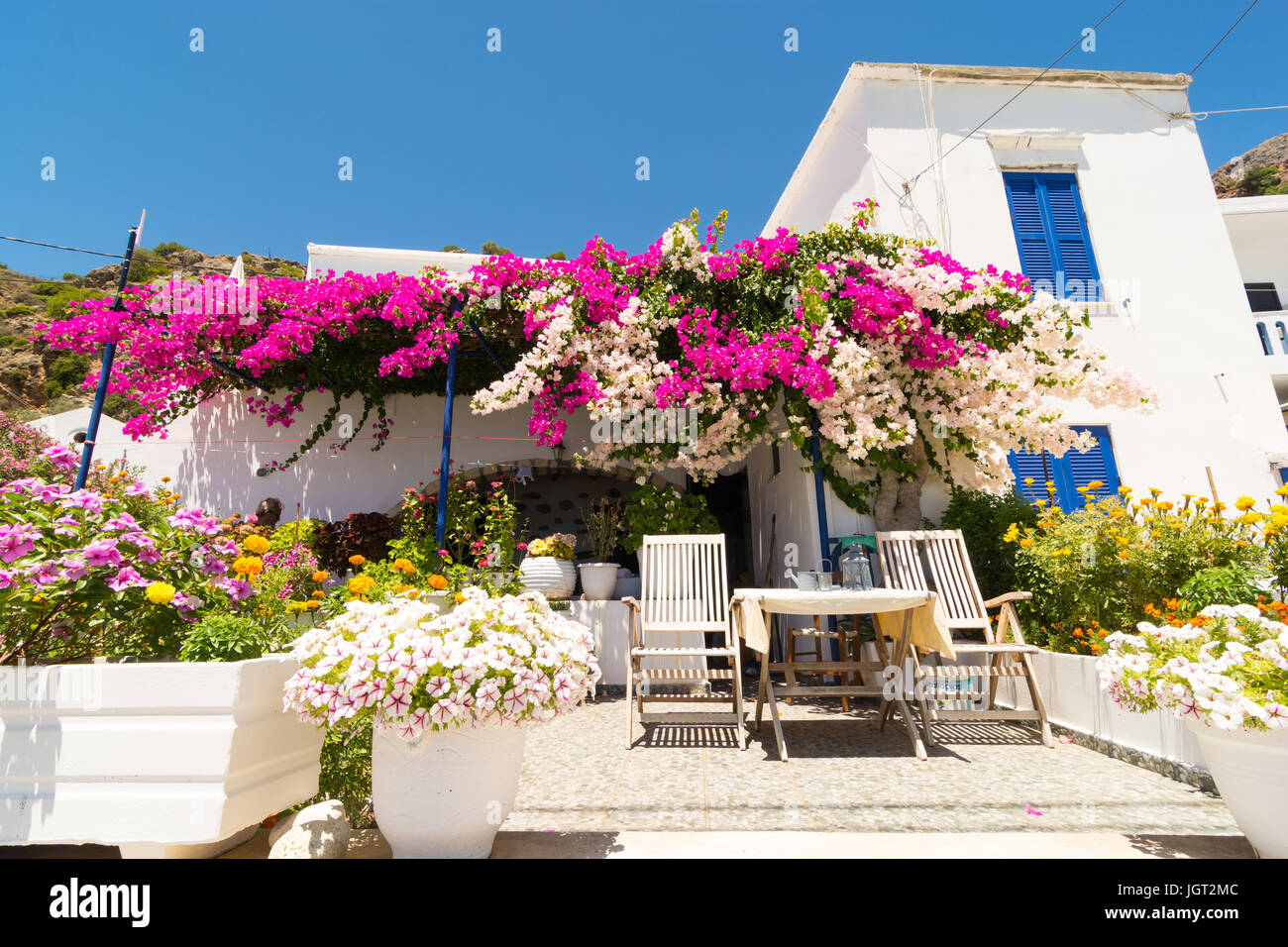 Classic blue and white Greek house, covered in colourful plants and ...