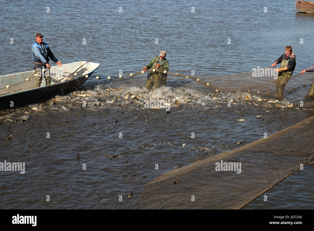 Fish farm harvesting hi-res stock photography and images - Alamy