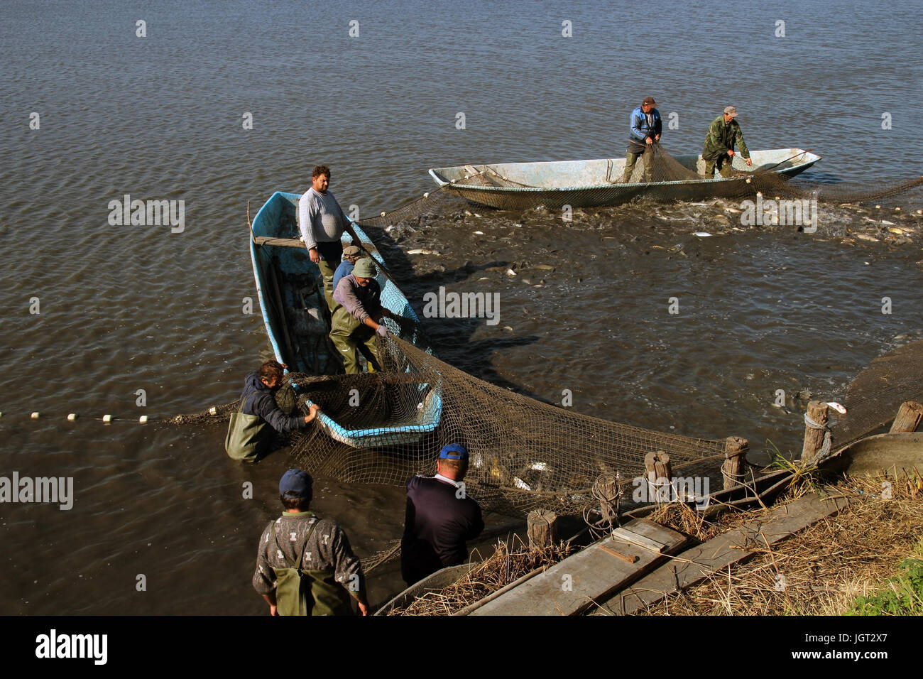 Harvesting Fish at Fish Farm Stock Photo - Alamy