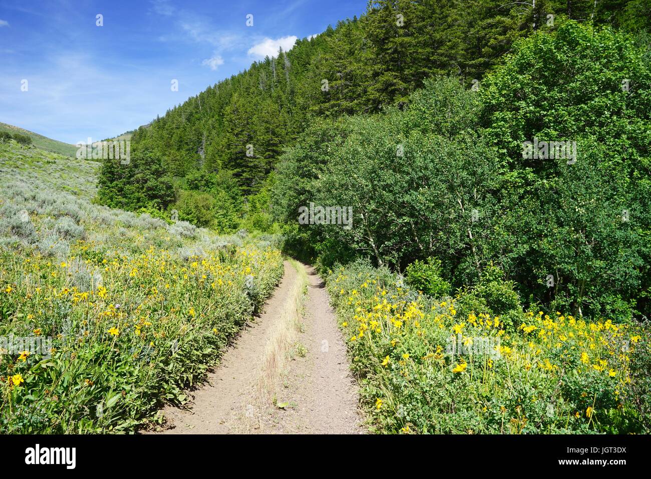 Scenic hillside road hi-res stock photography and images - Alamy