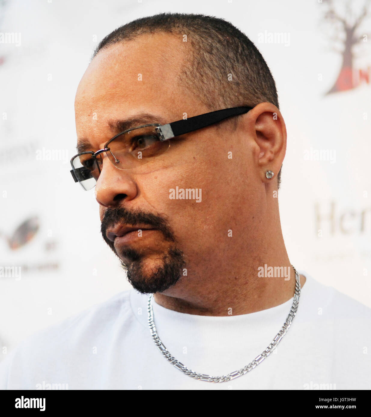 Ice T Rapper