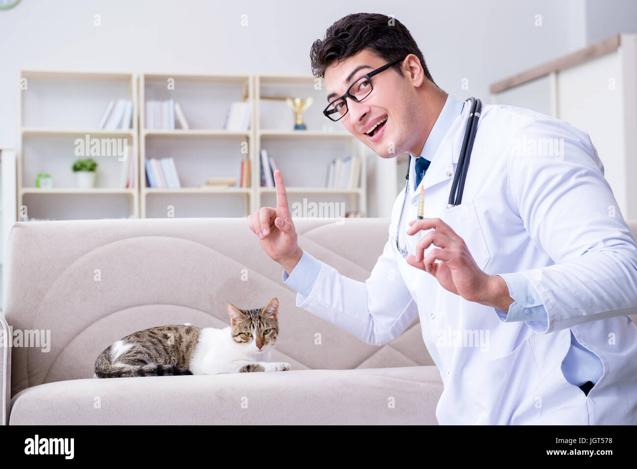 Cat visiting vet for regular check up Stock Photo - Alamy