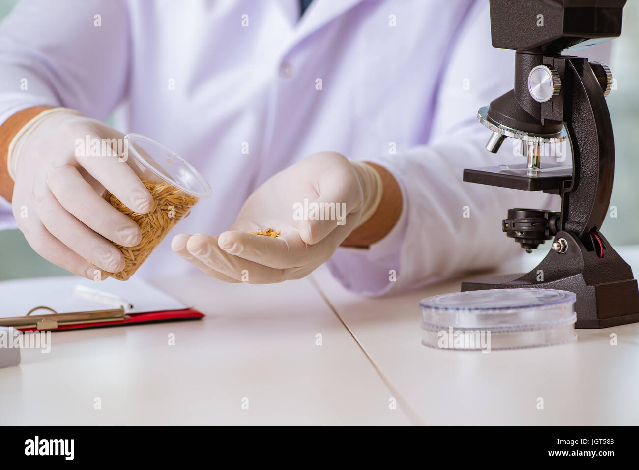 Nutrition expert testing food products in lab Stock Photo - Alamy