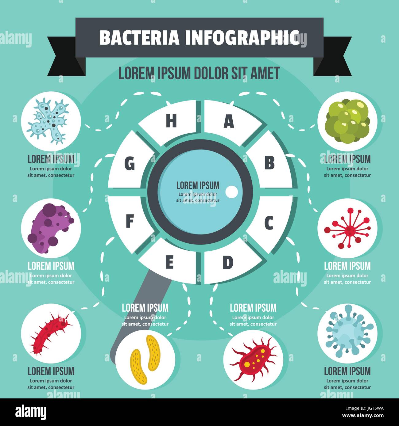 Bacteria infographic concept, flat style Stock Vector Image & Art - Alamy