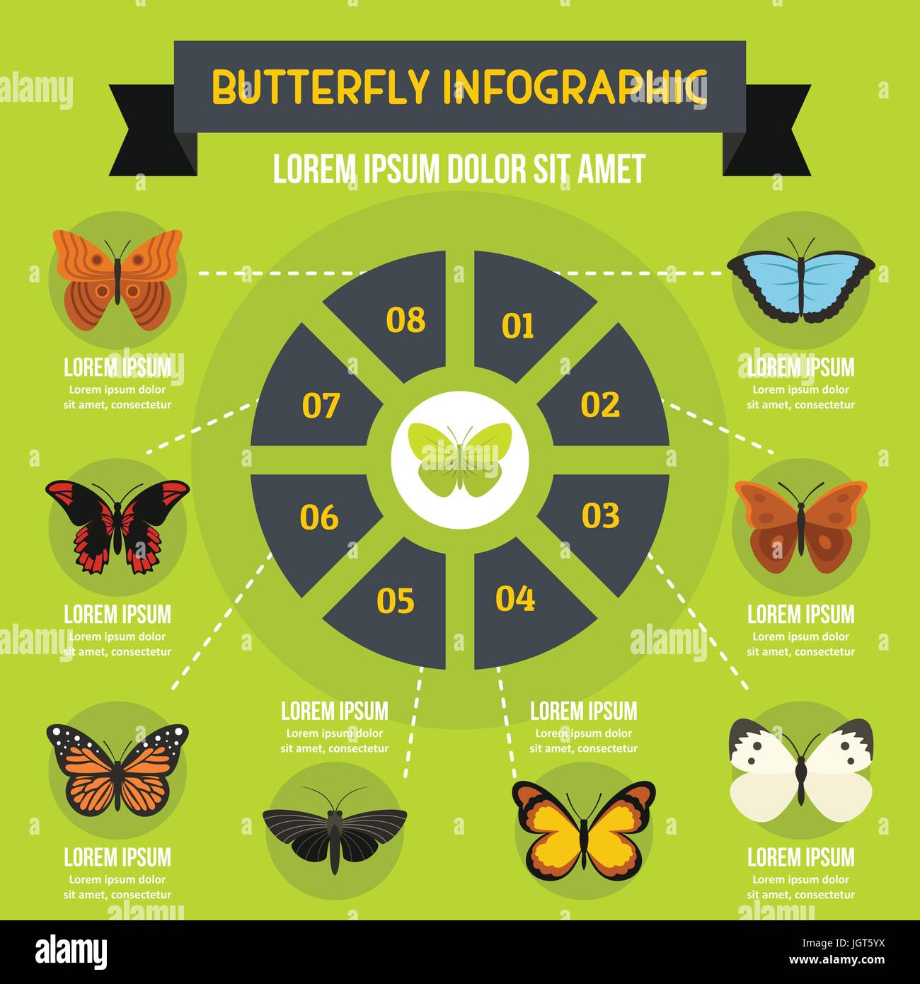 Butterfly infographic concept, flat style Stock Vector Image & Art - Alamy