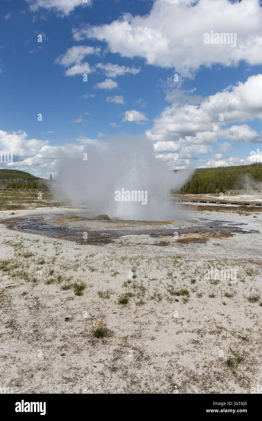 Jewel Geyser in Biscuit Basin, Upper Geyser Basin, Yellowstone National ...
