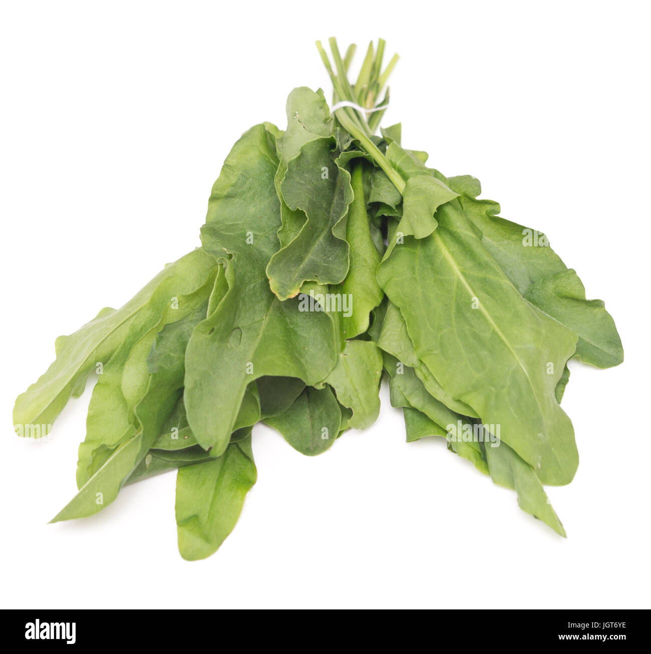 fresh sorrel isolated on white background Stock Photo - Alamy