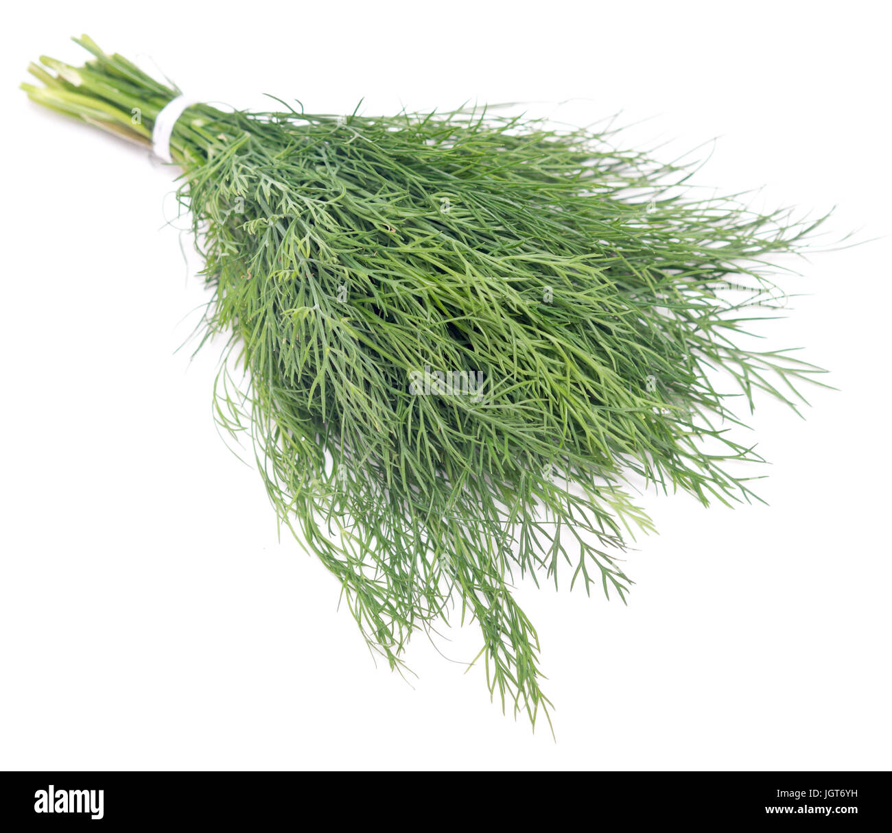 fresh dill isolated on white background Stock Photo - Alamy