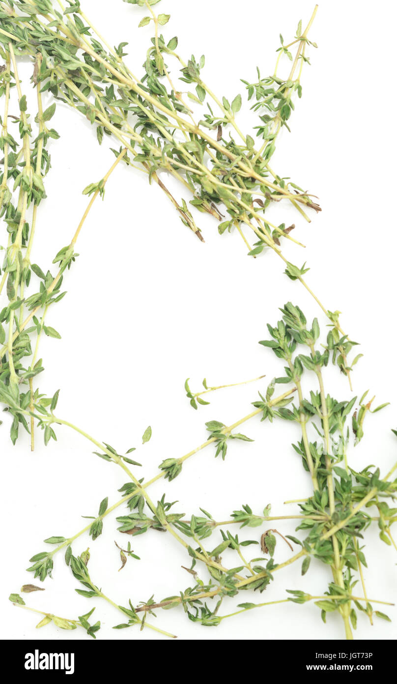 thyme isolated on white background Stock Photo - Alamy