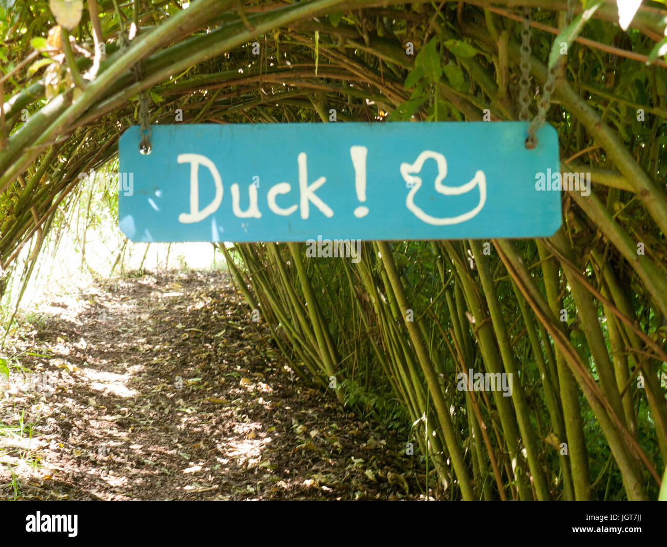 a funny goofy duck sign with icon; Suffolk; UK Stock Photo - Alamy