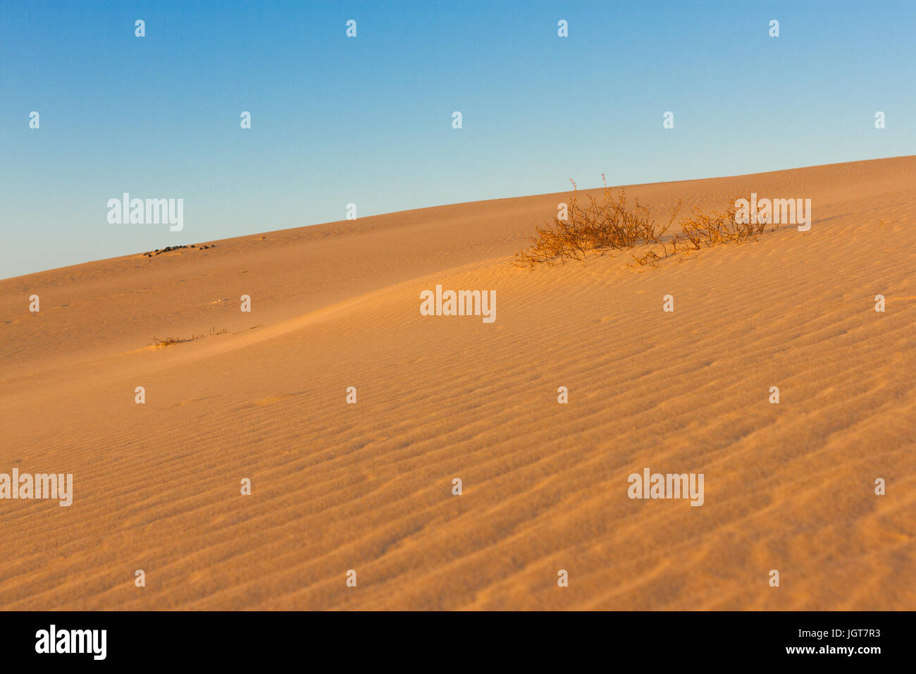 Divided photography on two part by sand and sky. Lands and panorama ...