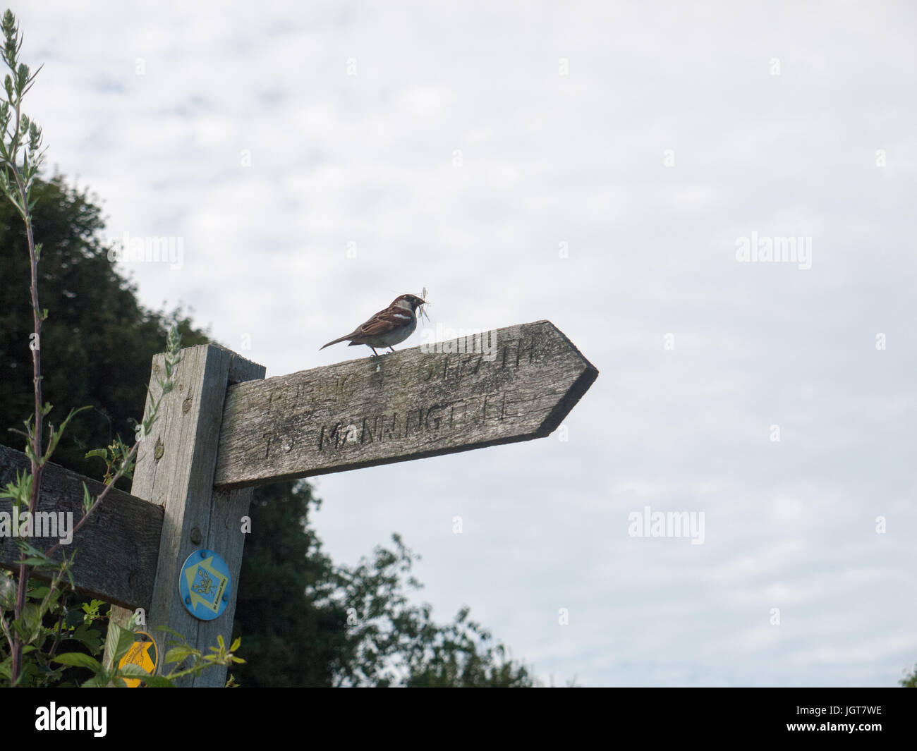 Land notice board hi-res stock photography and images - Alamy