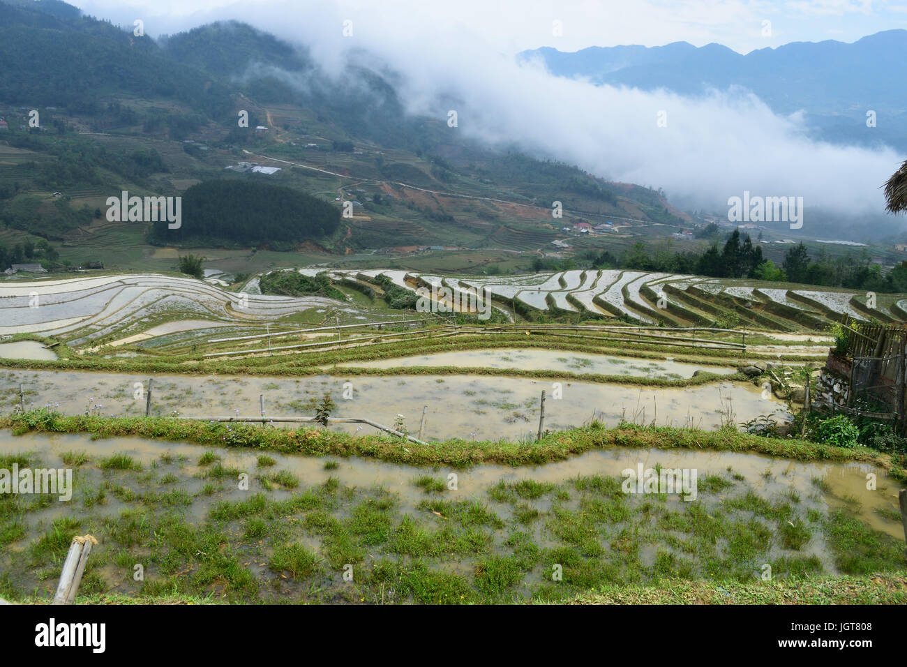 Sapa rice paddy hi-res stock photography and images - Alamy