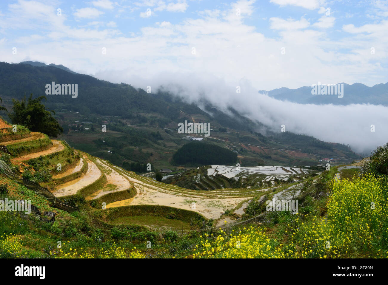 Sapa rice paddy hi-res stock photography and images - Alamy
