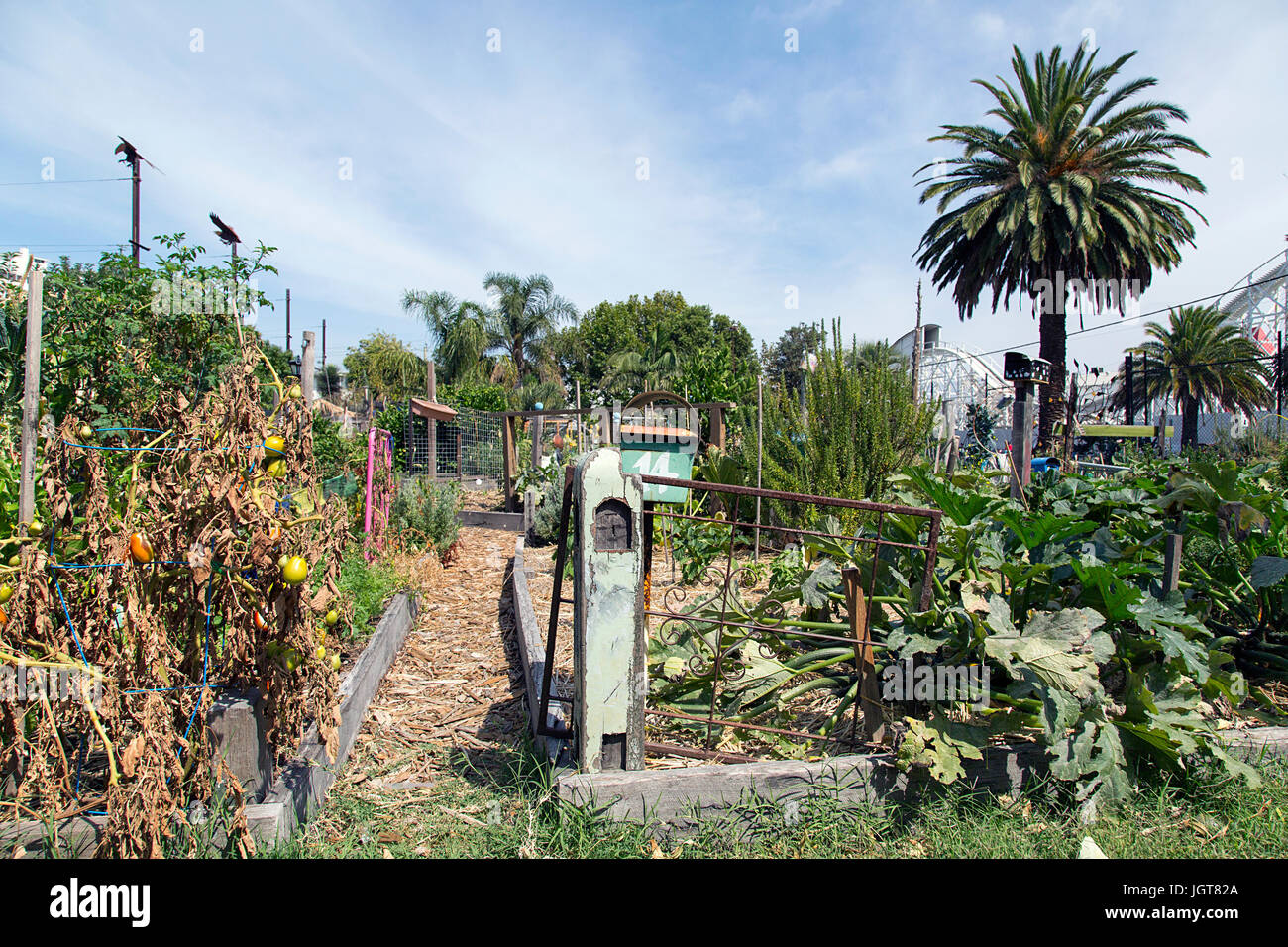 Veg Out Community Gardens Stock Photo - Alamy
