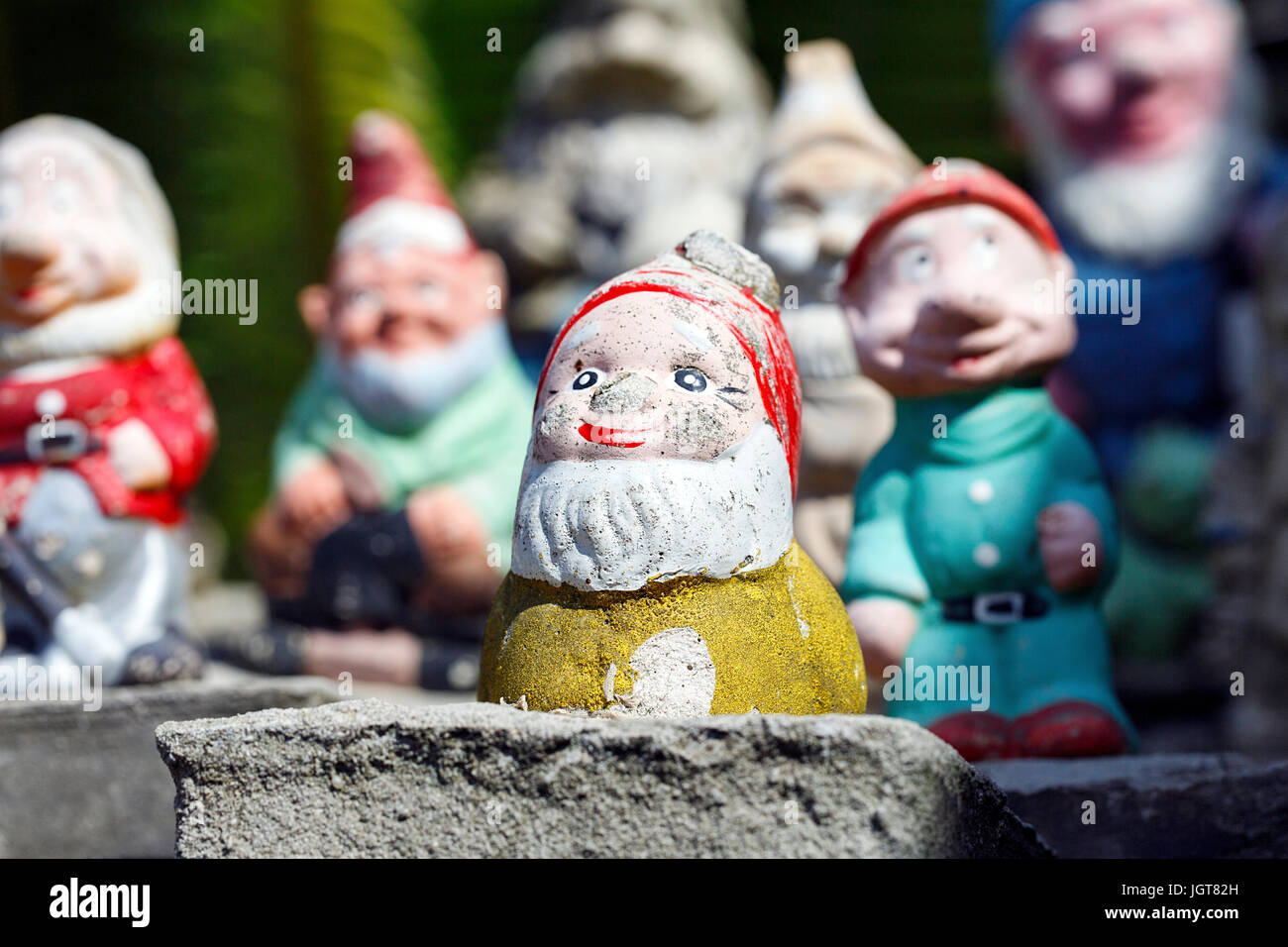Fairy garden gnomes hi-res stock photography and images - Alamy