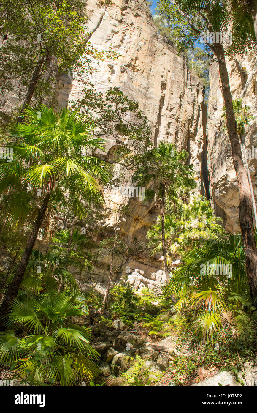 The gorge amphitheatre hi-res stock photography and images - Alamy