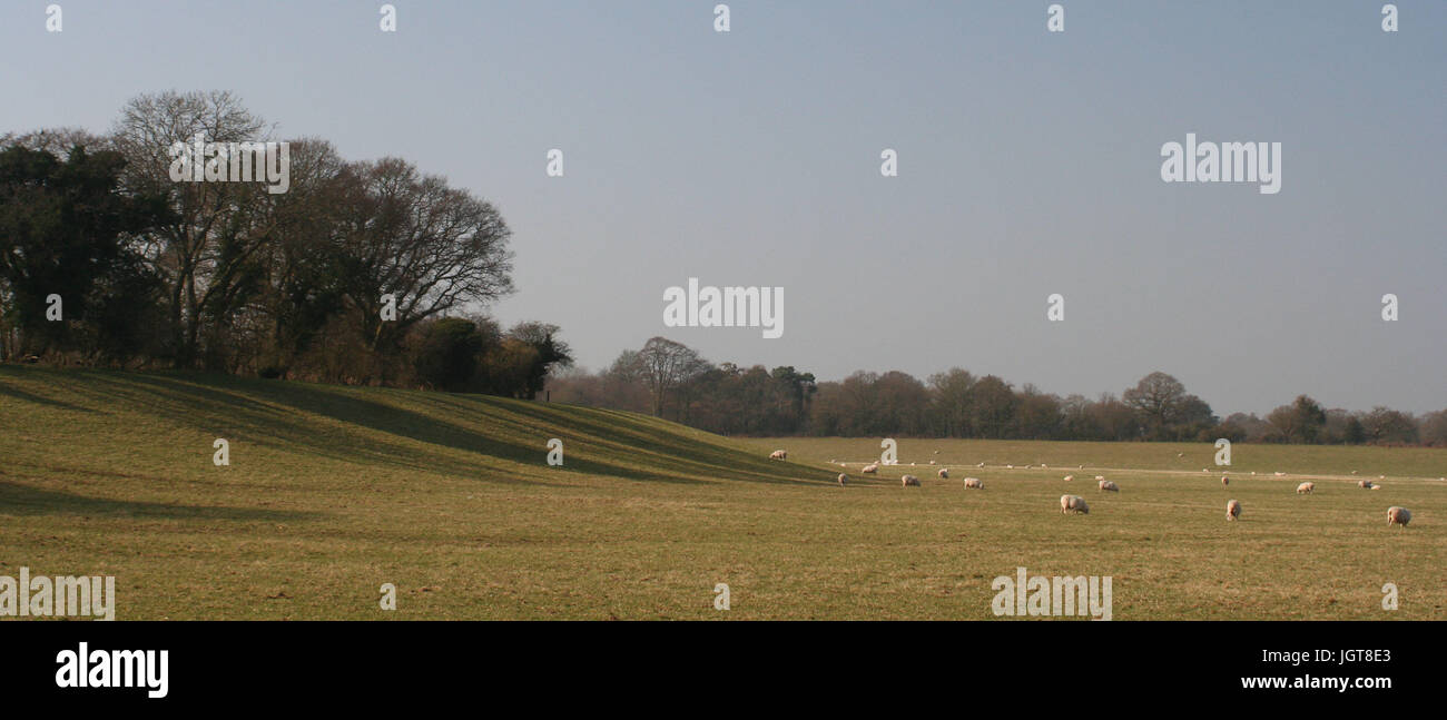 The Centurion Way Stock Photo - Alamy