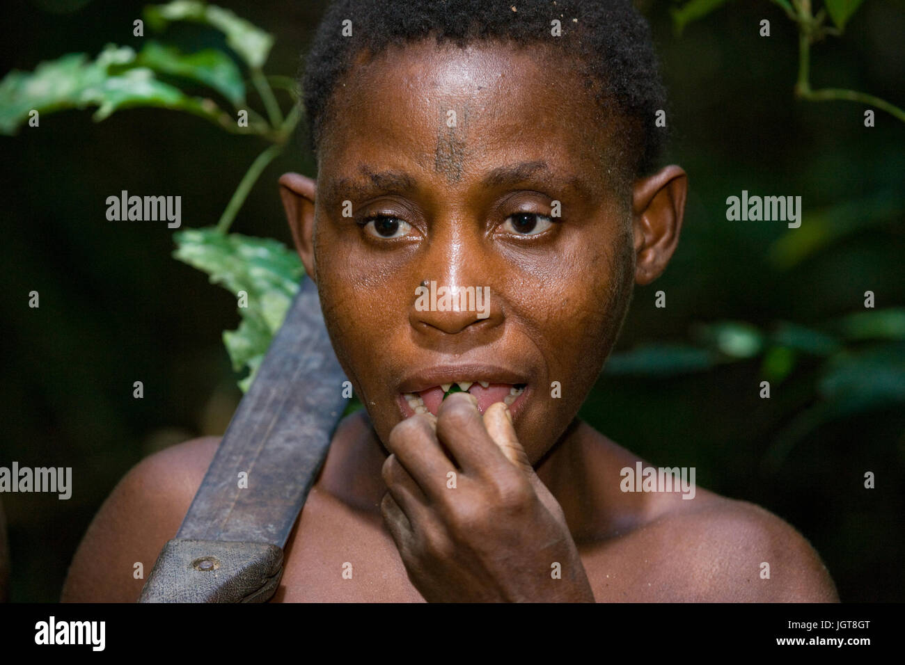 Dzanga ndoki national park hi-res stock photography and images - Alamy