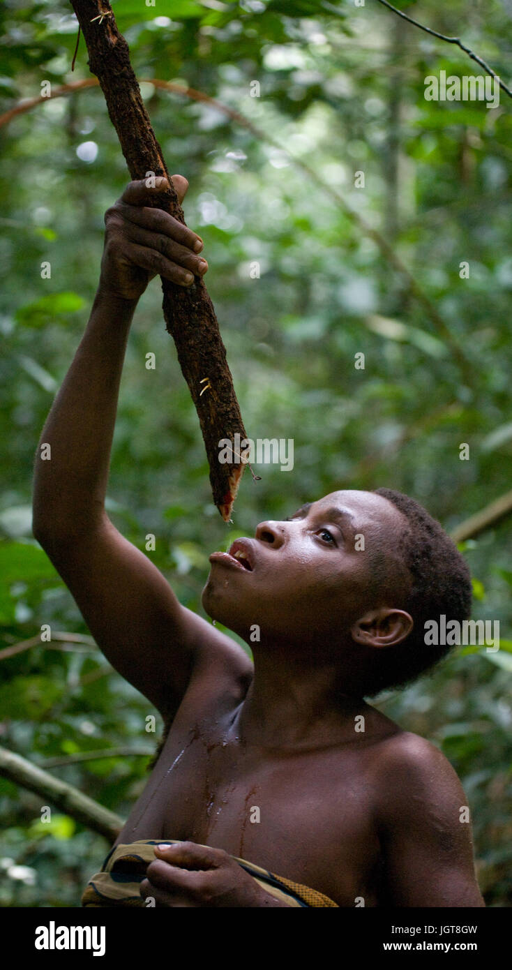 Pygmies in forest republic congo hi-res stock photography and images ...