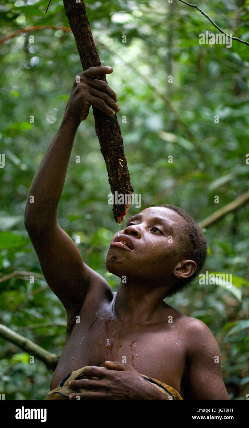 Pygmies congo hi-res stock photography and images - Alamy
