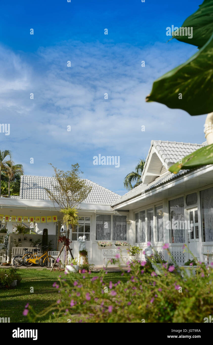 Glass on the rack bar Stock Photo - Alamy