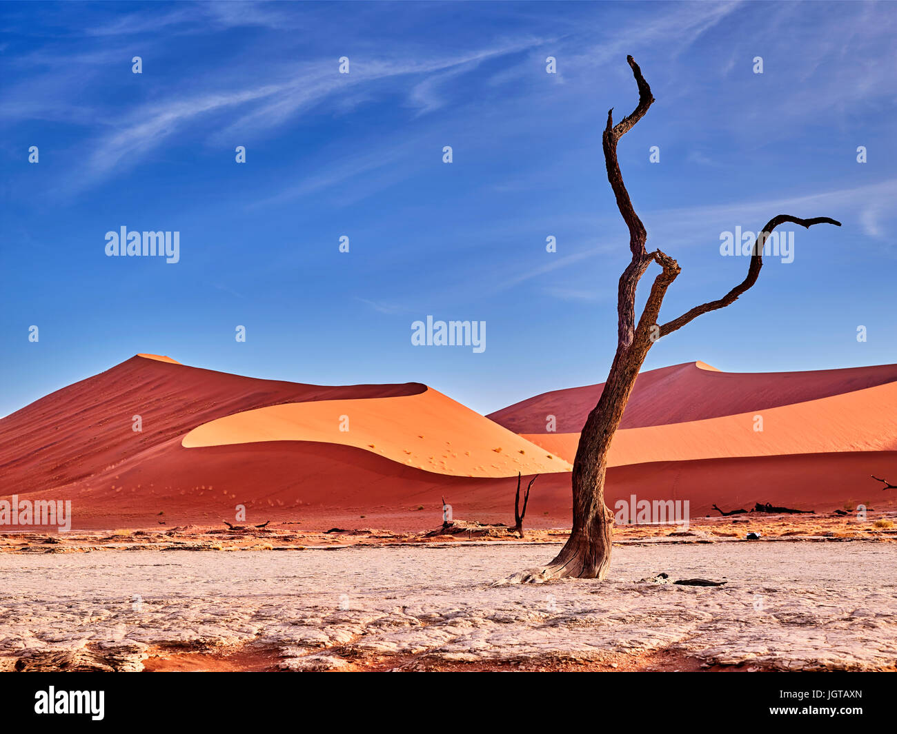desert of namib with orange sand dunes Stock Photo - Alamy