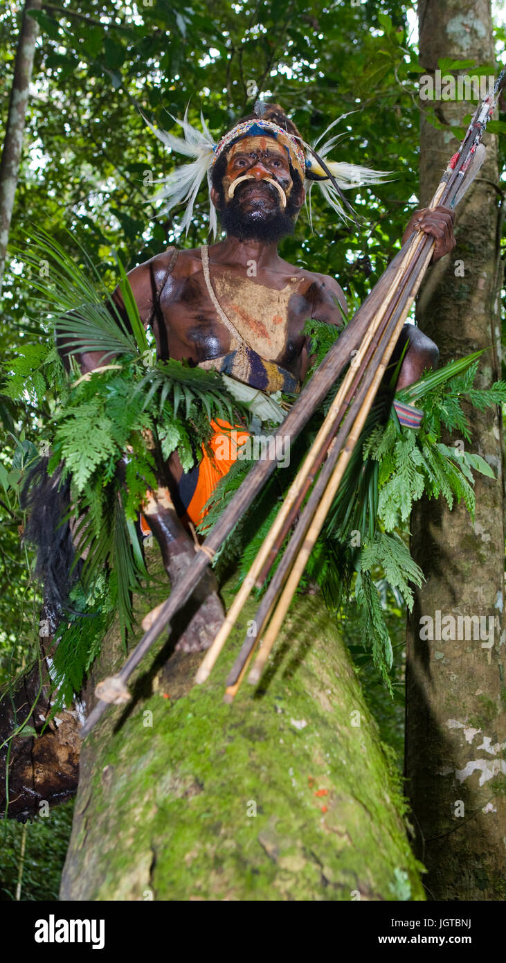 NEW GUINEA, INDONESIA - 13 JANUARY: The warriors of a Papuan tribe of ...