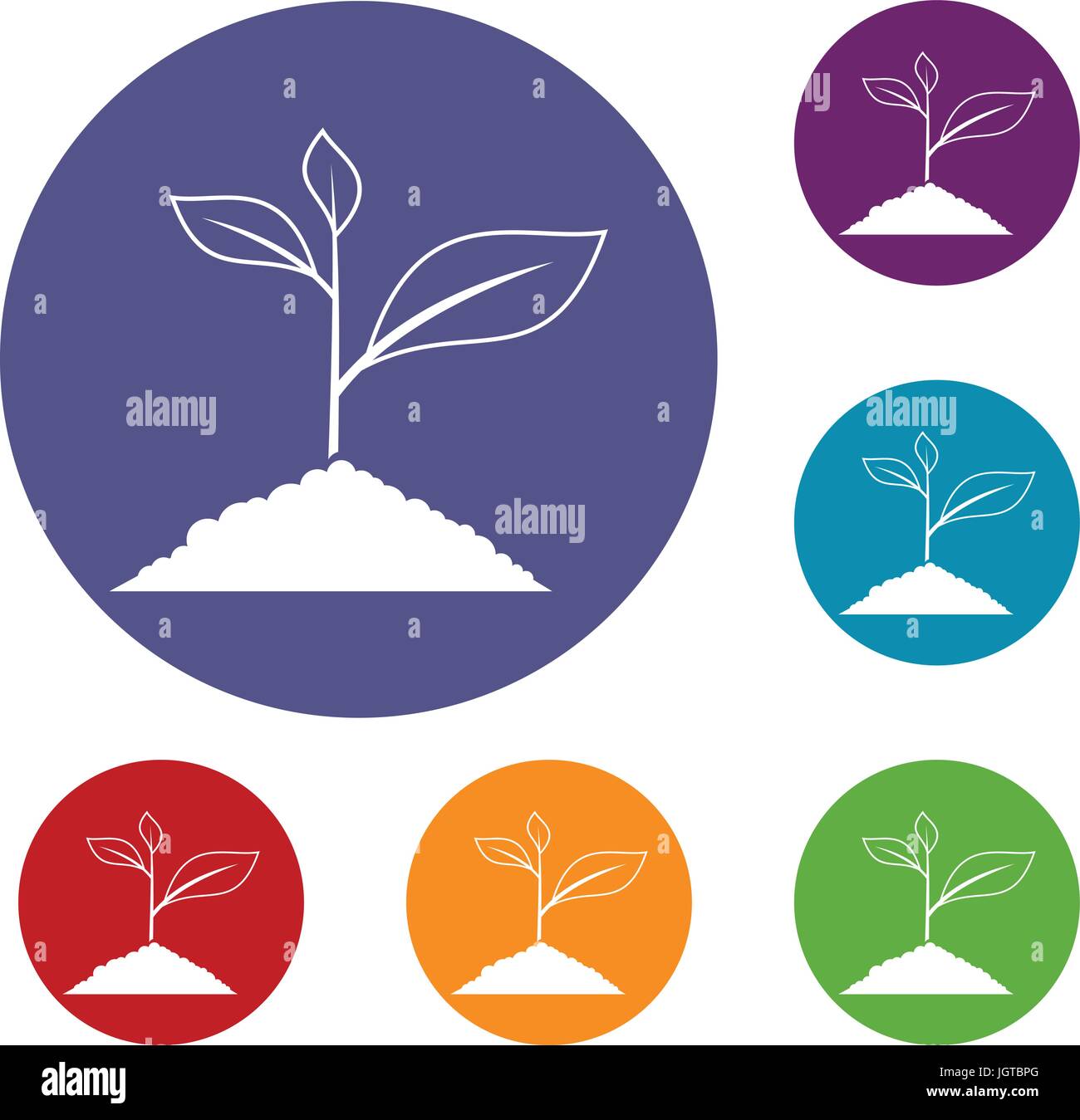 Growing plant icons set Stock Vector Image & Art - Alamy