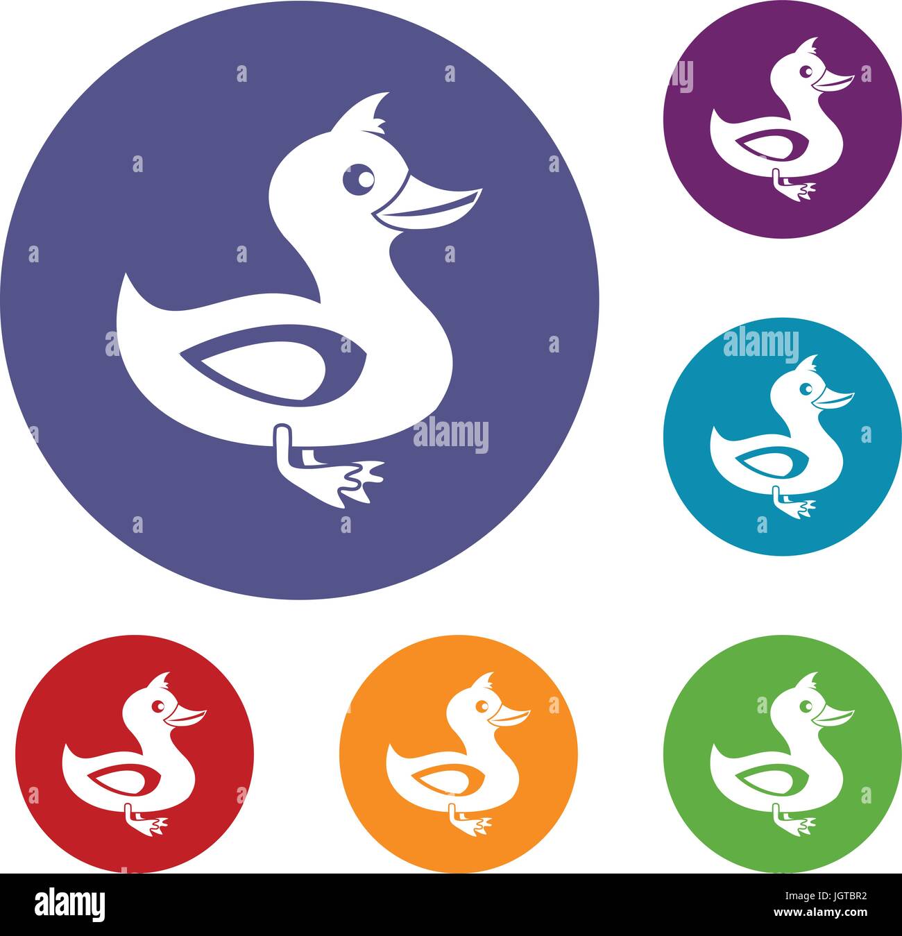 Red eye duck Stock Vector Images - Alamy