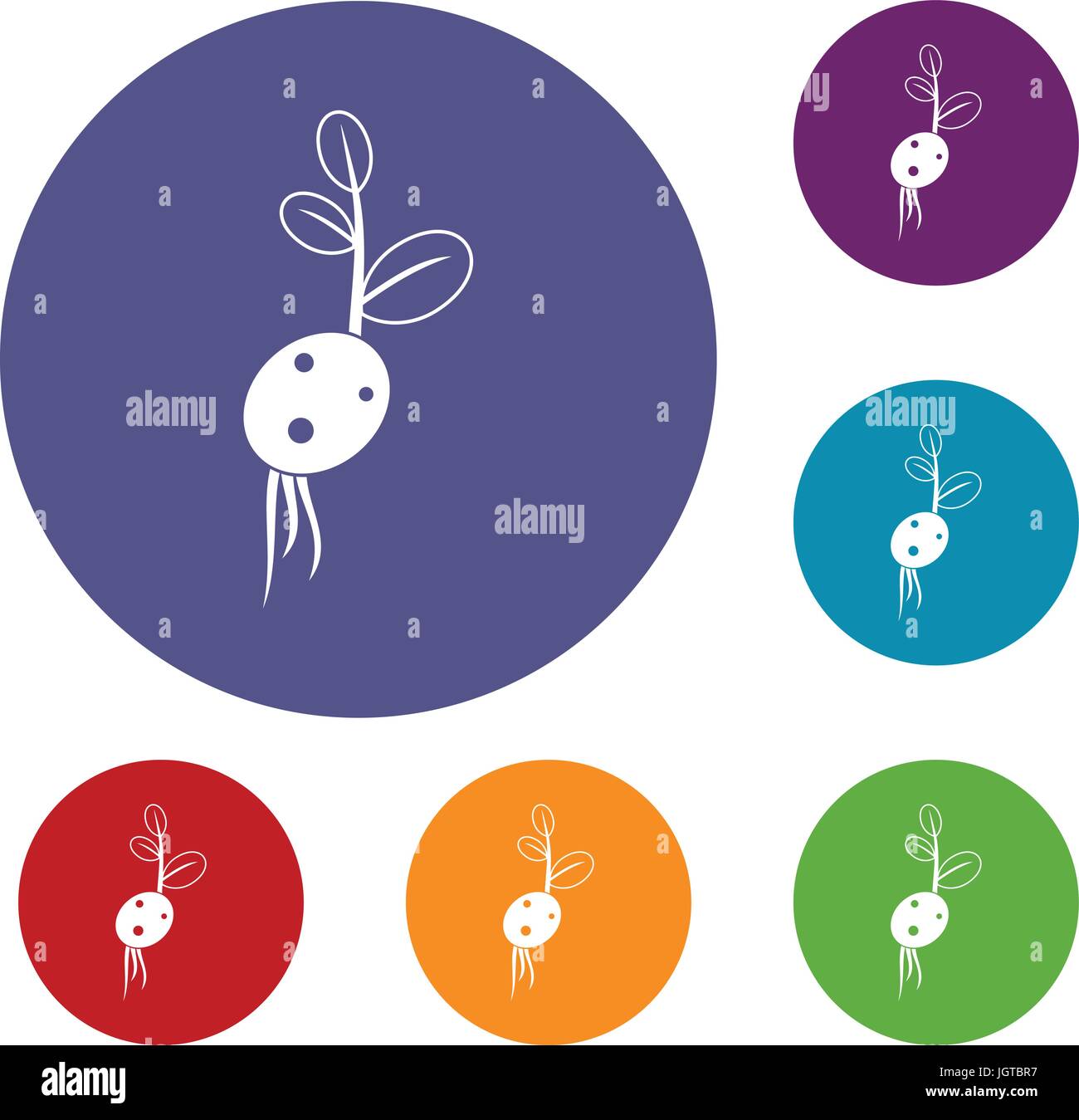 Potato sprout from the root icons set Stock Vector Image & Art - Alamy
