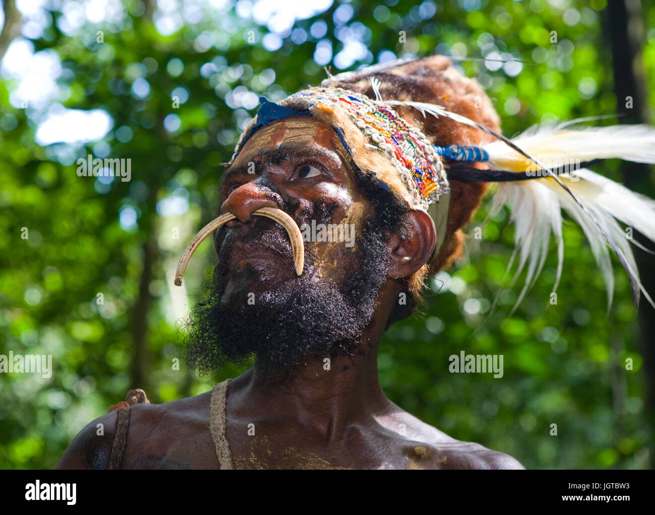 Cannibalism new guinea hi-res stock photography and images - Alamy