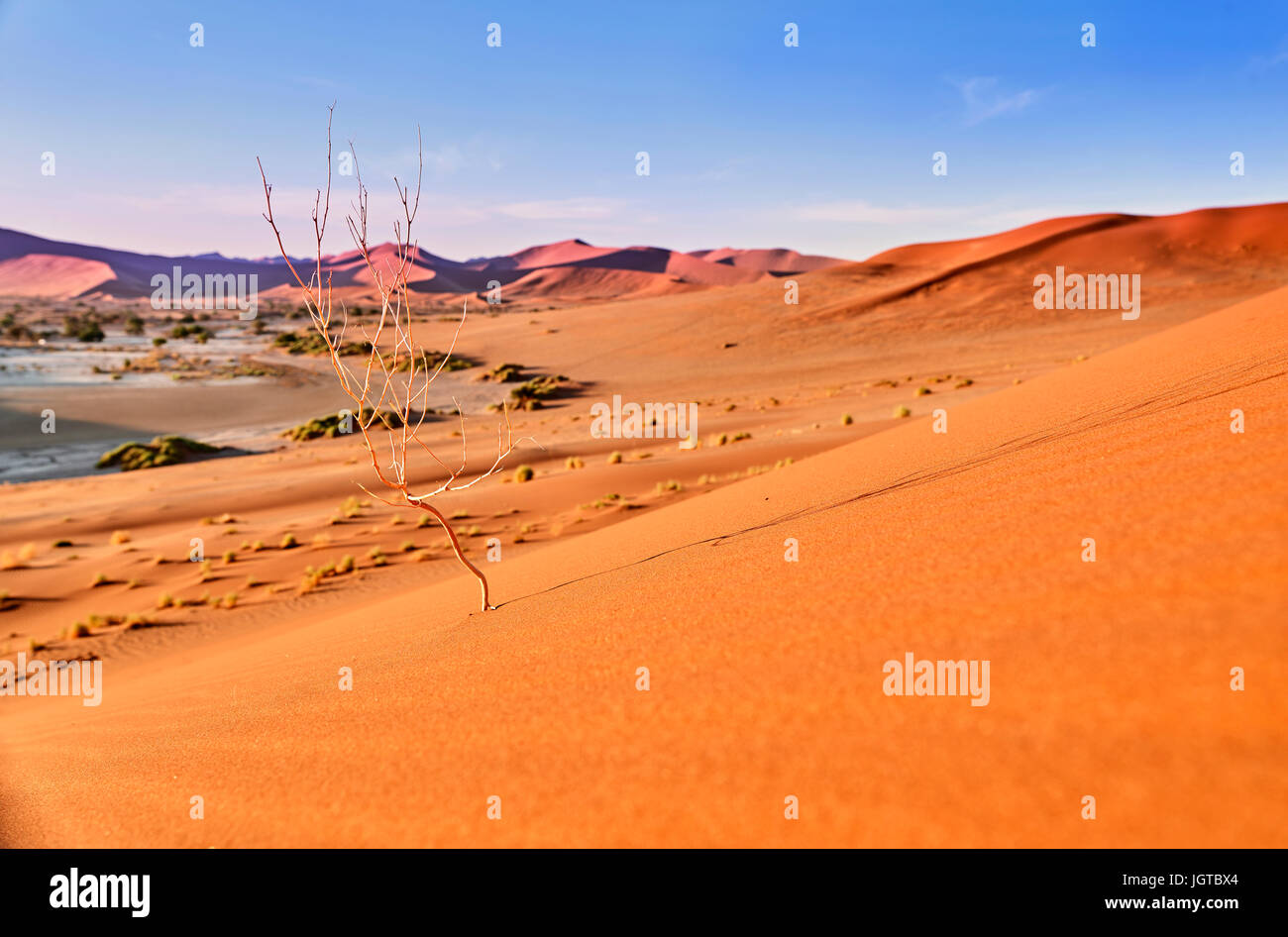 desert of namib with orange sand dunes Stock Photo - Alamy