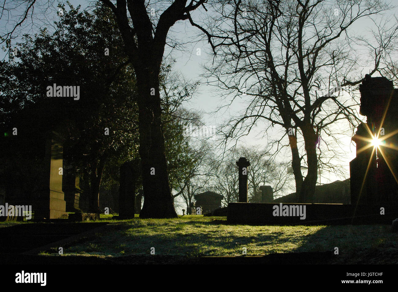 sunlight on graveyard in Greyfriars Edinburgh Stock Photo - Alamy