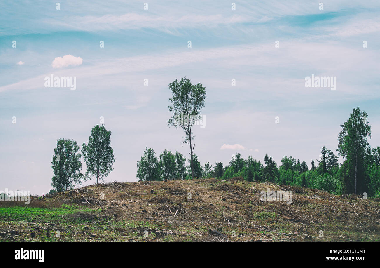 Deforestation and its consequences hi-res stock photography and images ...