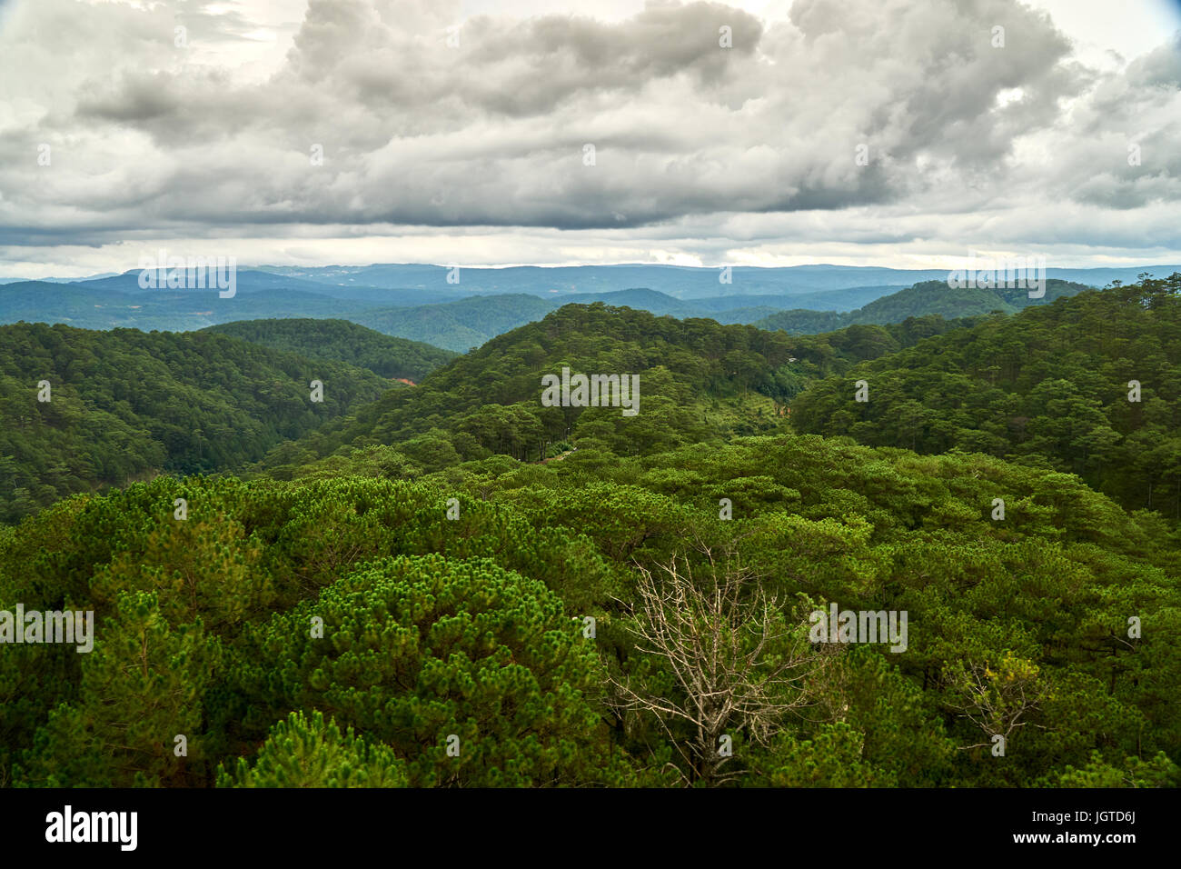 Angle of elevation hi-res stock photography and images - Alamy