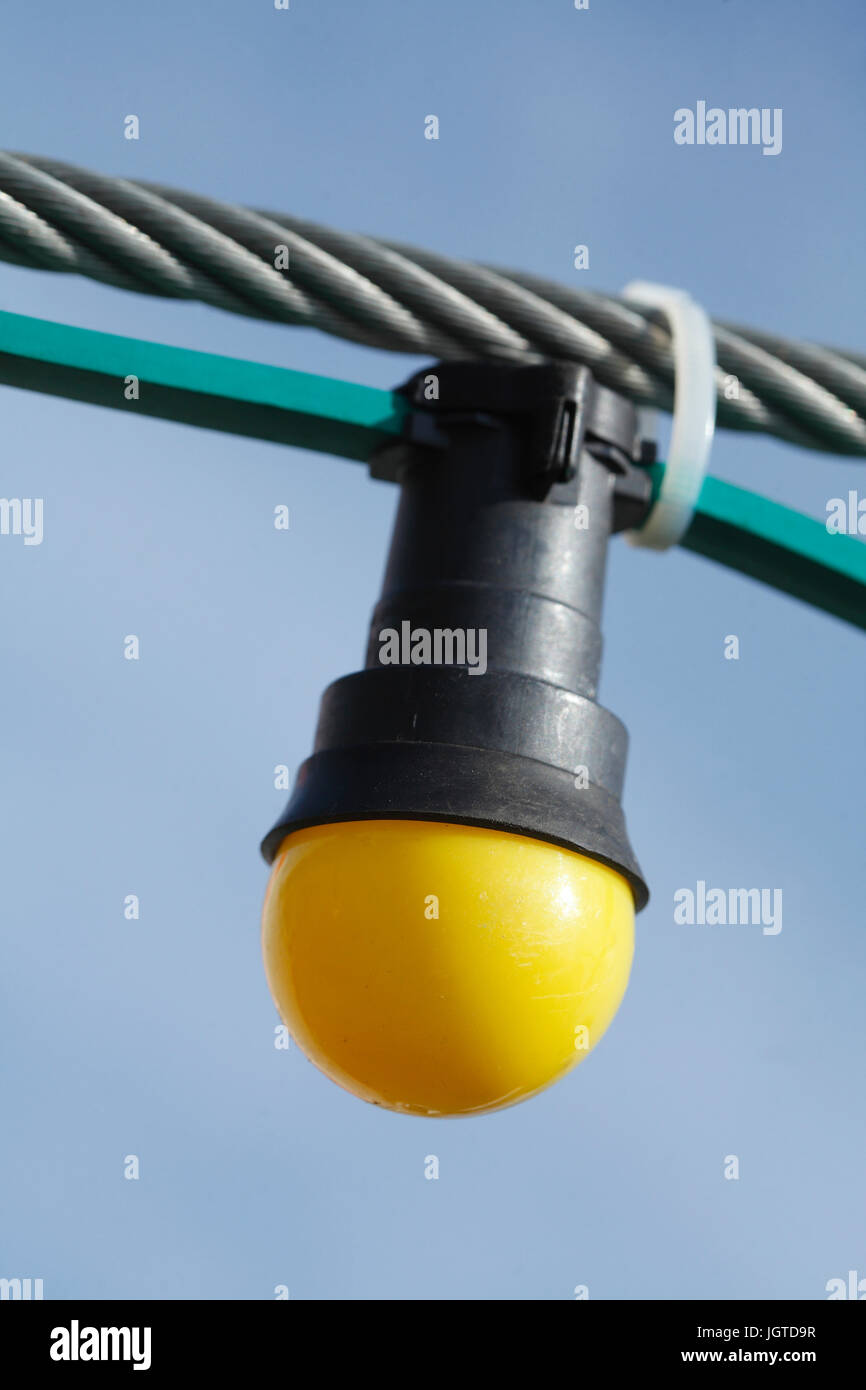 colorfully yellow electric light bulb with blue sky Stock Photo - Alamy