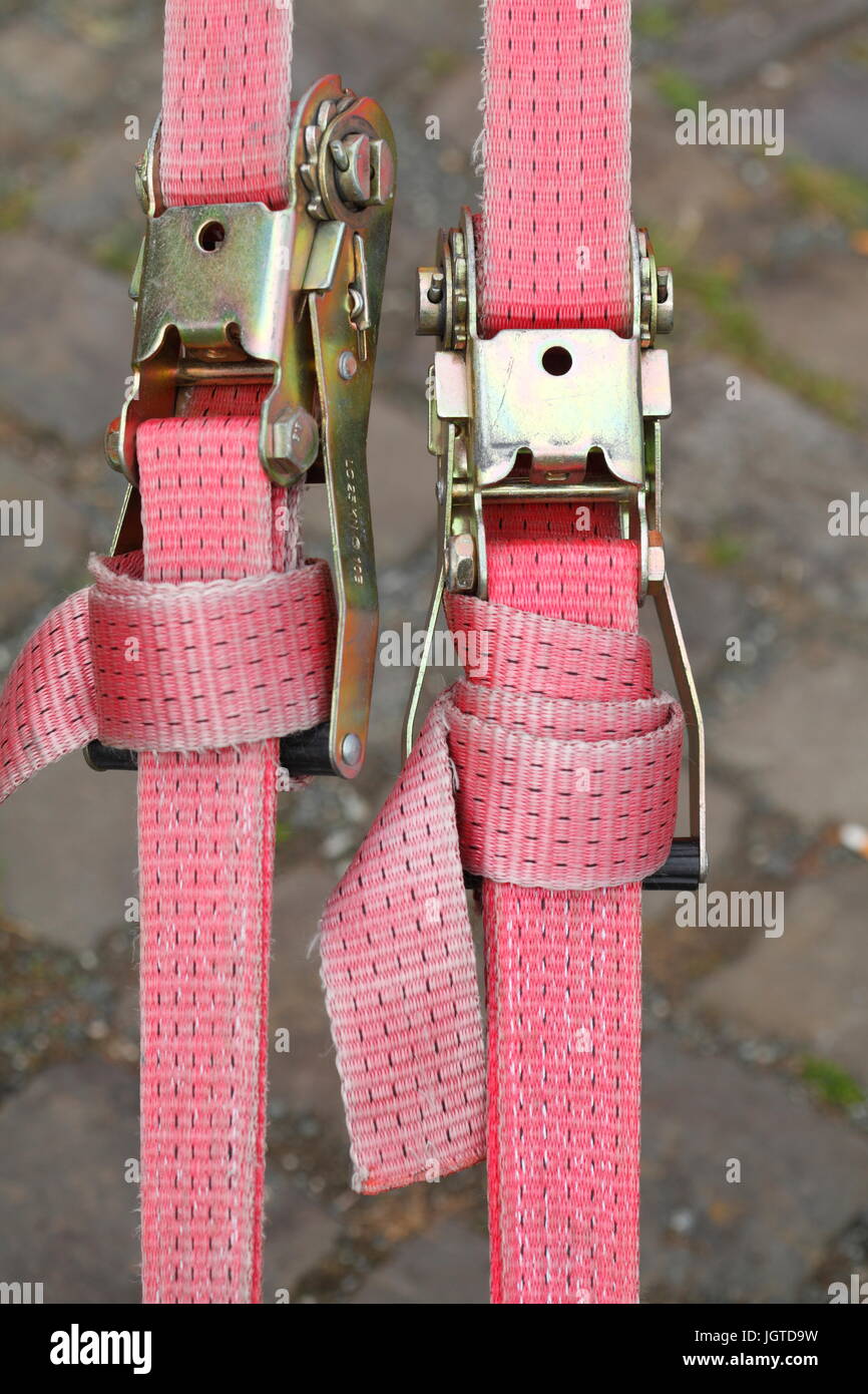 pink colored ratchet lashing strap Stock Photo - Alamy