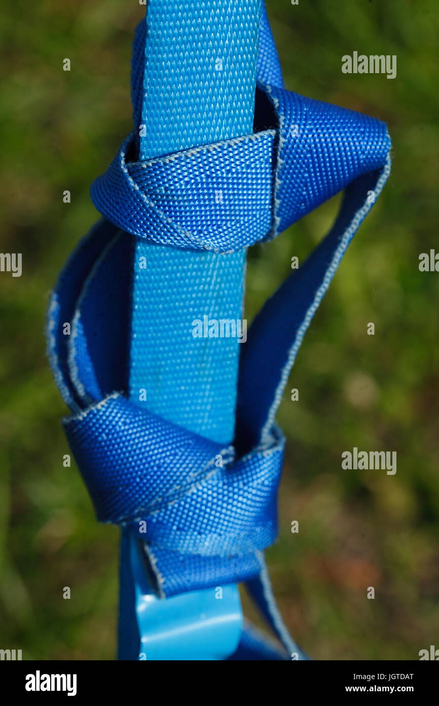 blue colored ratchet lashing strap Stock Photo - Alamy