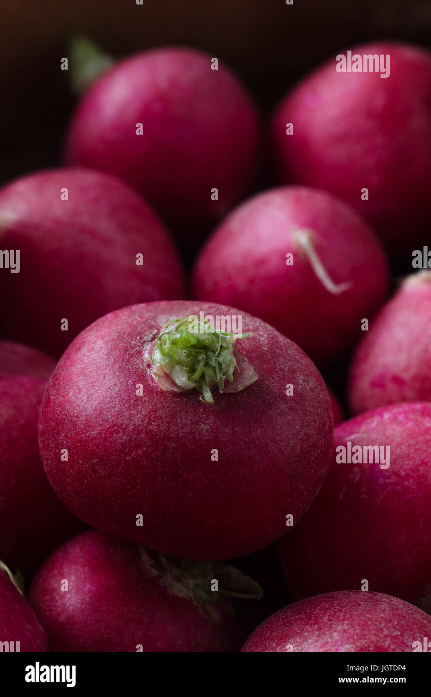 Stalk macro hi-res stock photography and images - Alamy