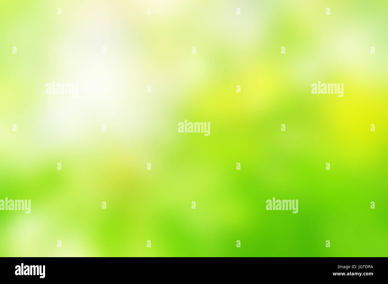 Soft background blur from photograph of natural foliage. Dappled and ...