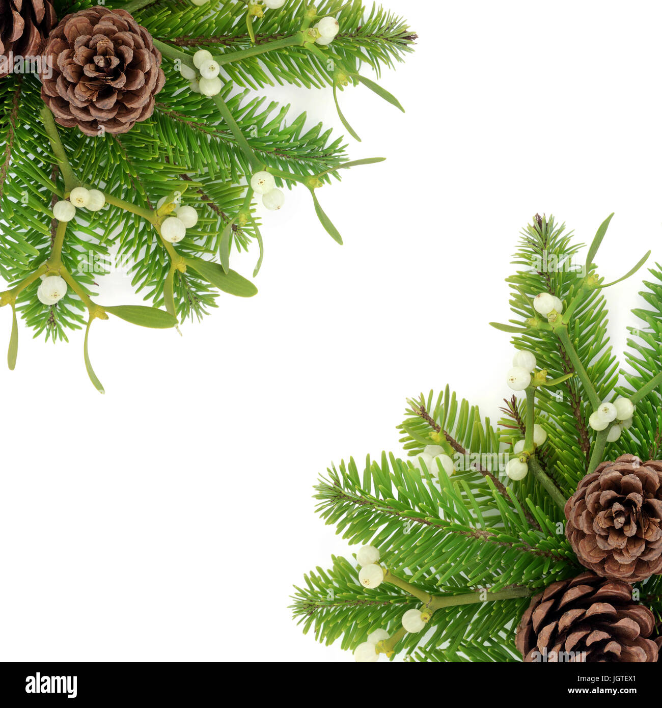 Mistletoe, fir and pine cones on white background Stock Photo - Alamy