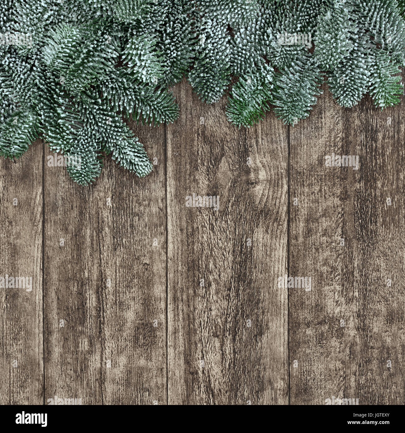 Spruce oak hi-res stock photography and images - Alamy