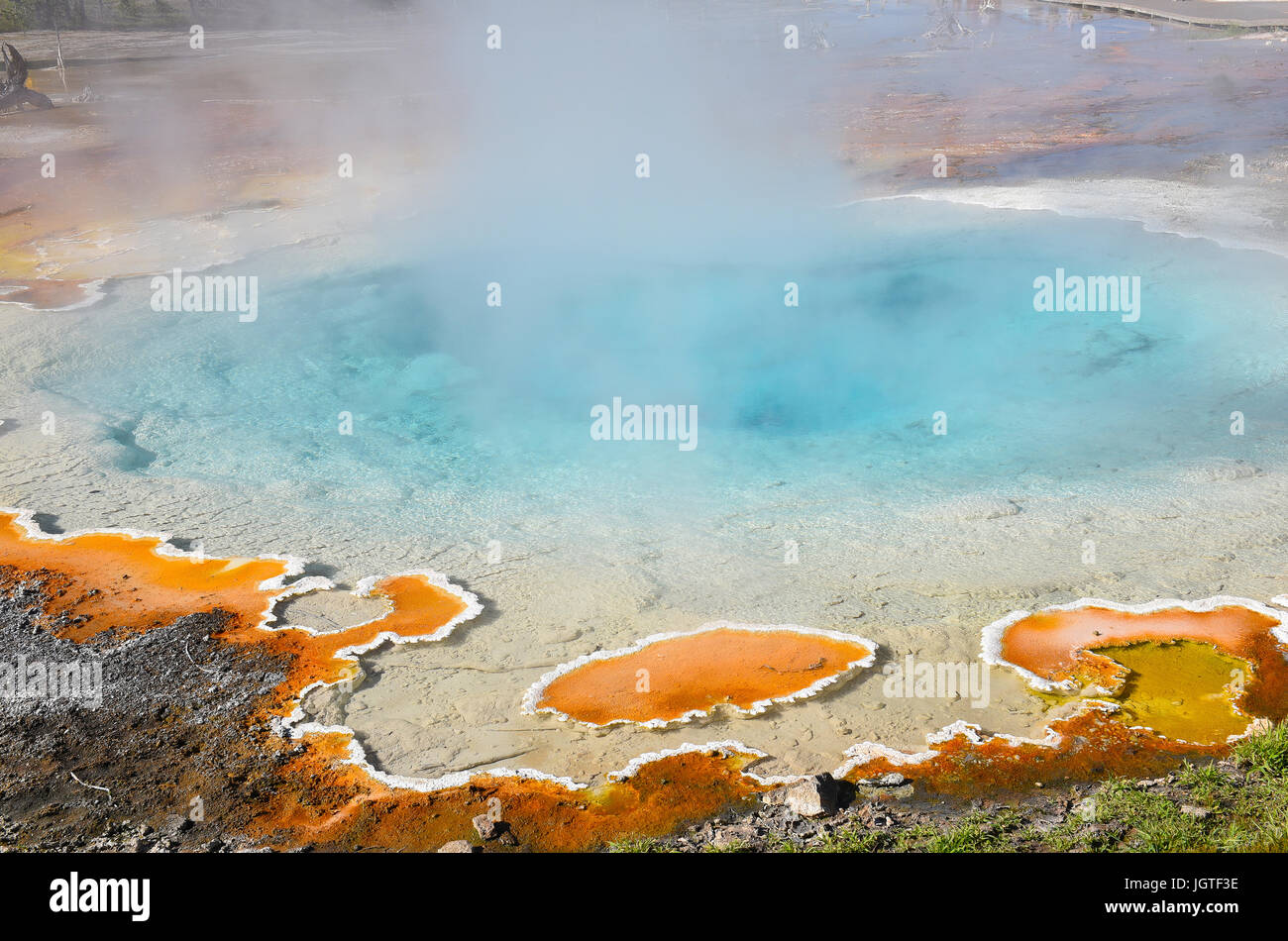 Silex Spring in the Lower Geyser Basin in Yellowstone National Park ...