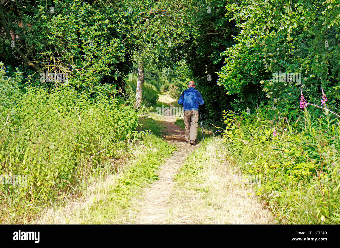 Long distance walker hi-res stock photography and images - Alamy