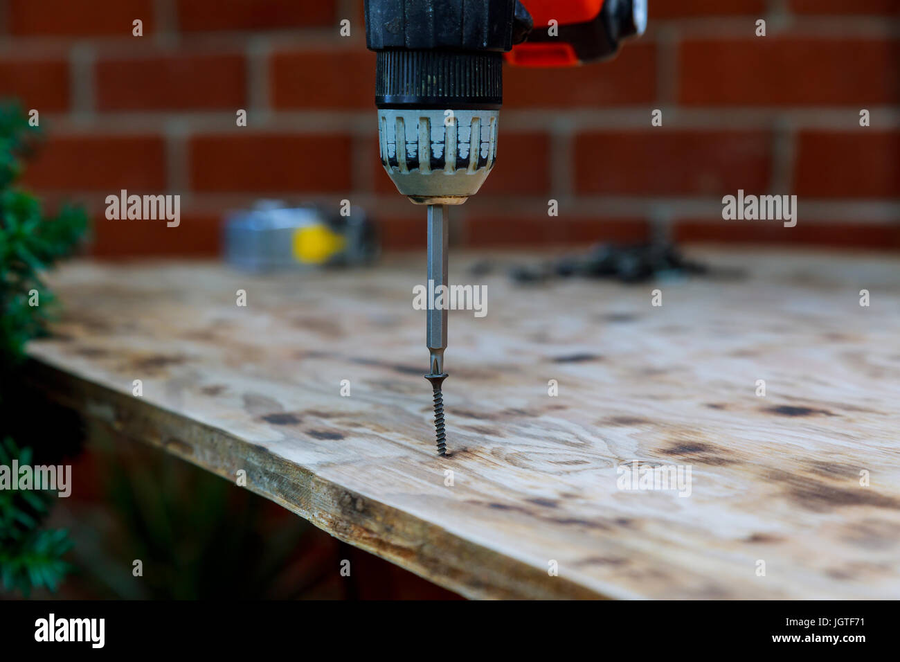 Installation of wood Worker twisting screw into the wood board.. Bare ...