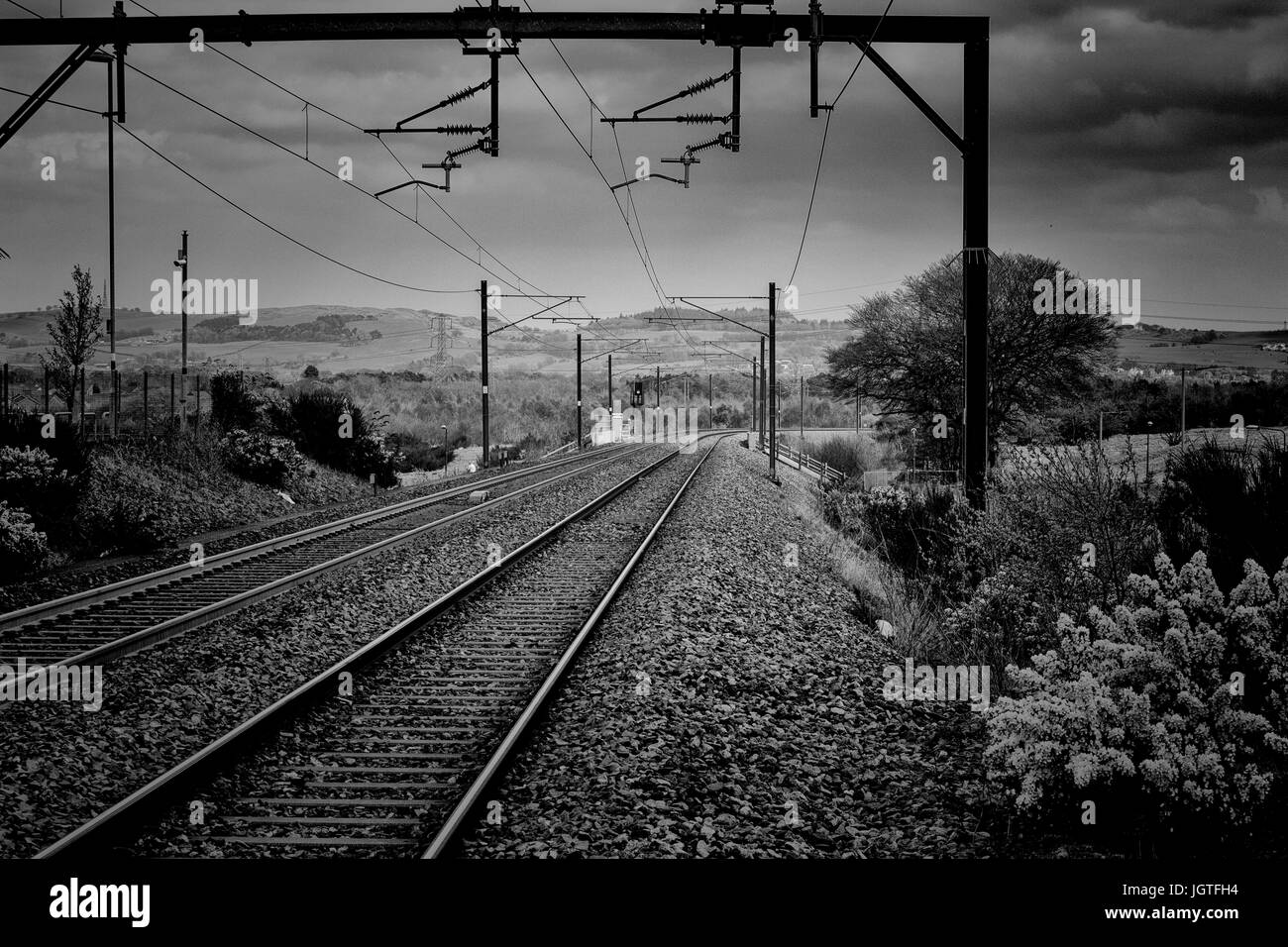 the Simon Cook collection Stock Photo - Alamy