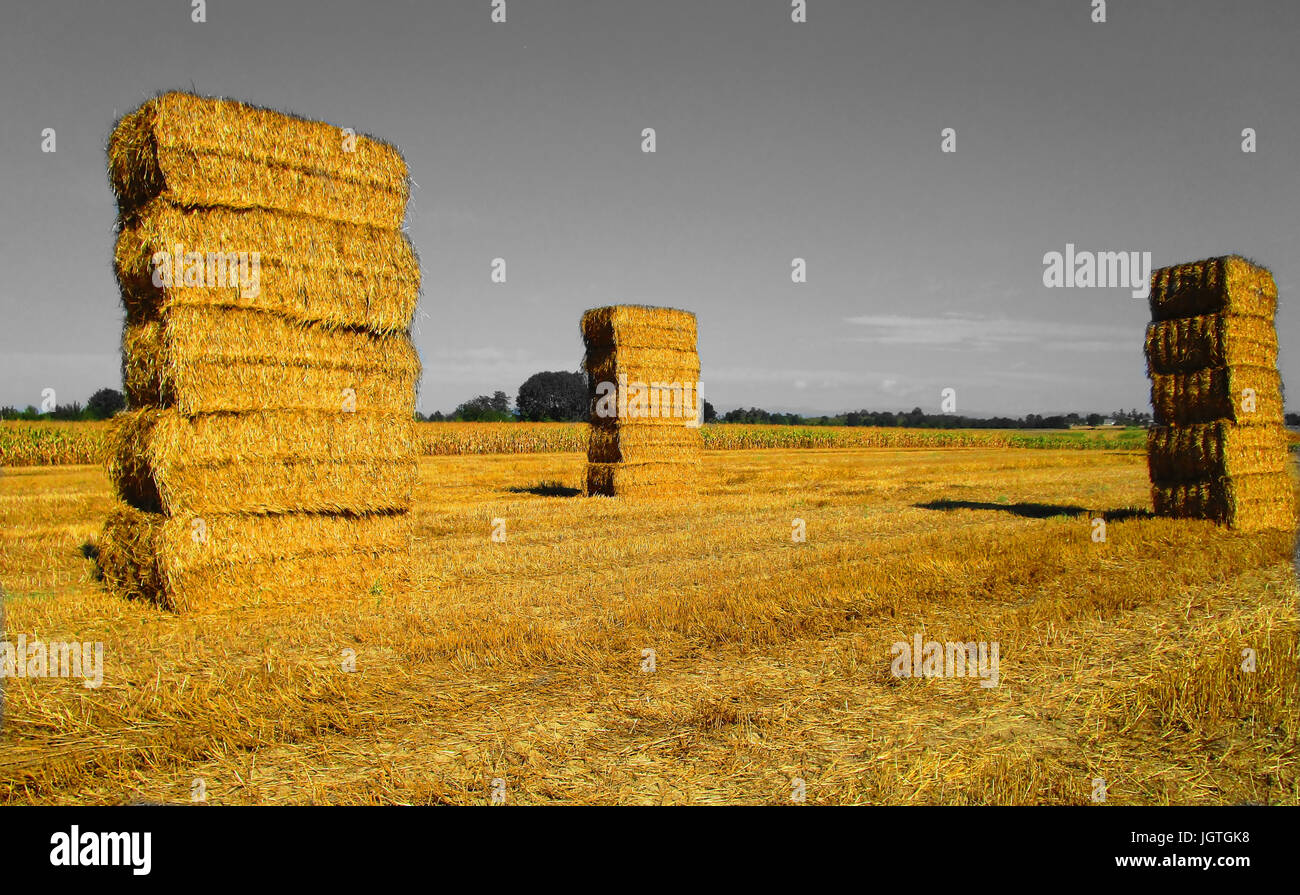 Straw Towers 3 Stock Photo - Alamy